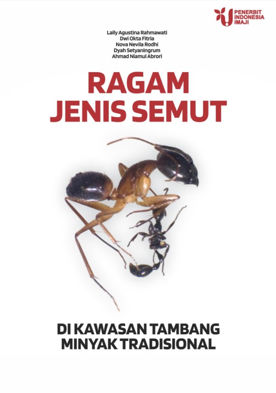 Ragam Jenis Semut di Kawasan Tambang Minyak Tradisional - Indonesia Imaji