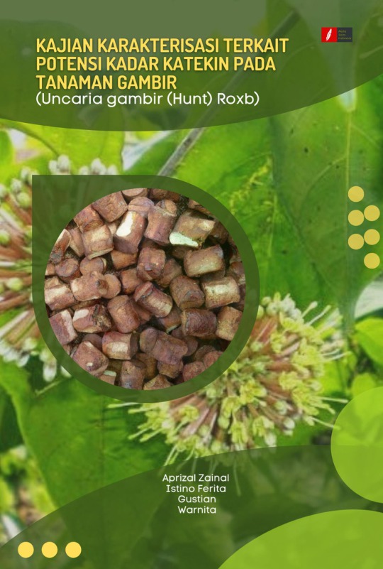 Kajian Karakterisasi Terkait Potensi Kadar Katekin pada Tanaman Gambir ...