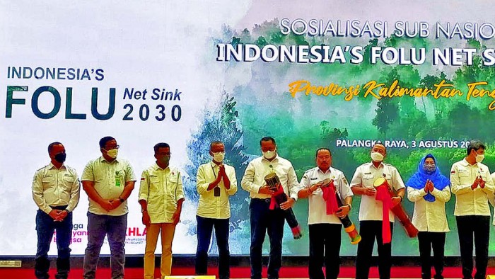 Kementerian LHK Sosialisasi Sub Nasional Indonesia’s Folu Net Sink ...