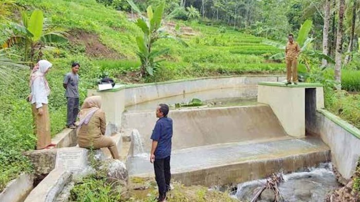 Dam parit, solusi ketersediaan air saat kemarau, Edisi 3942 - Sinar Tani
