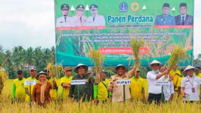 IPDMIP hadir, ubah pola pikir petani, Edisi 3961 - Sinar Tani